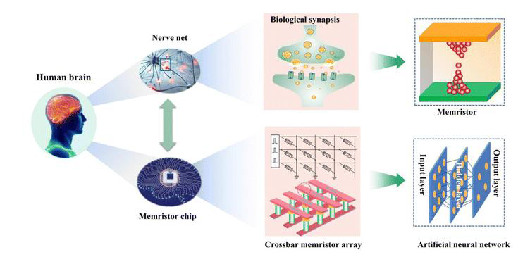 Special Sessions 7 - ICETCI 2024